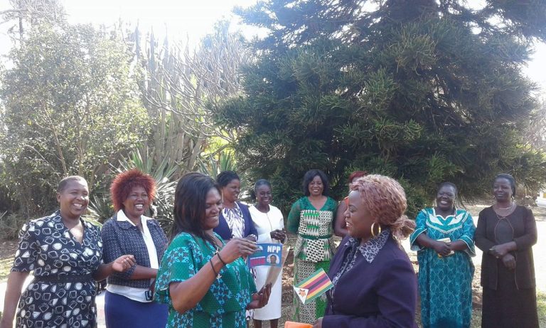 Celebrating Zimbabwe's Independence; A Call to Action for Women's ...